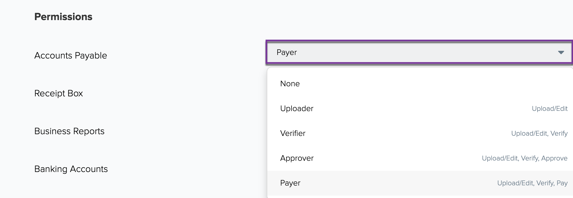 Understanding Accounts Payable Permission Levels in Docyt